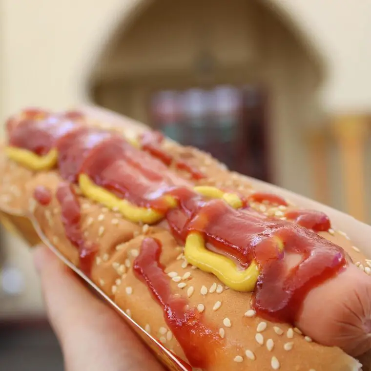 New York–style Hot Dog - The Foodie Diary